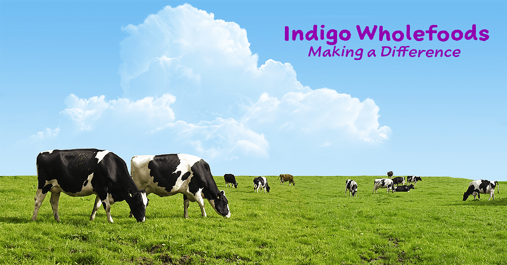 Indigo Wholefoods – for health, for life, for you